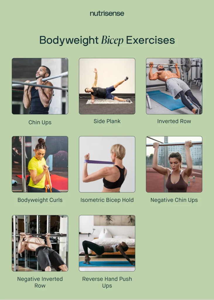Best Biceps Bodyweight Exercises Boost Your Strength